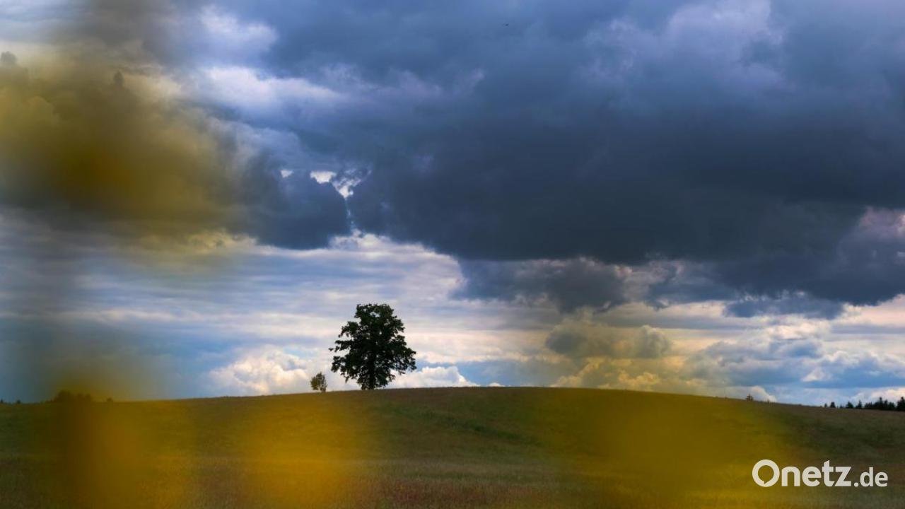 Sturmwarnung für die Oberpfalz | Onetz