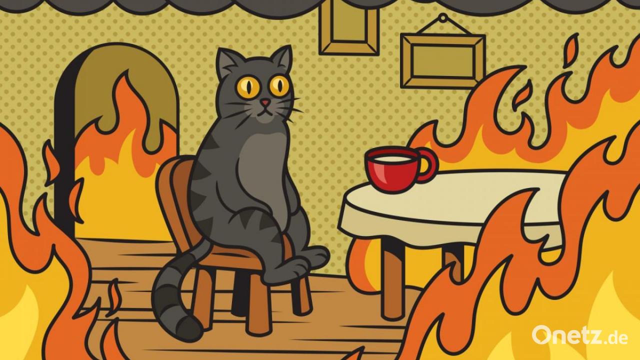 Ein GIF sagt mehr als tausend Worte | Onetz