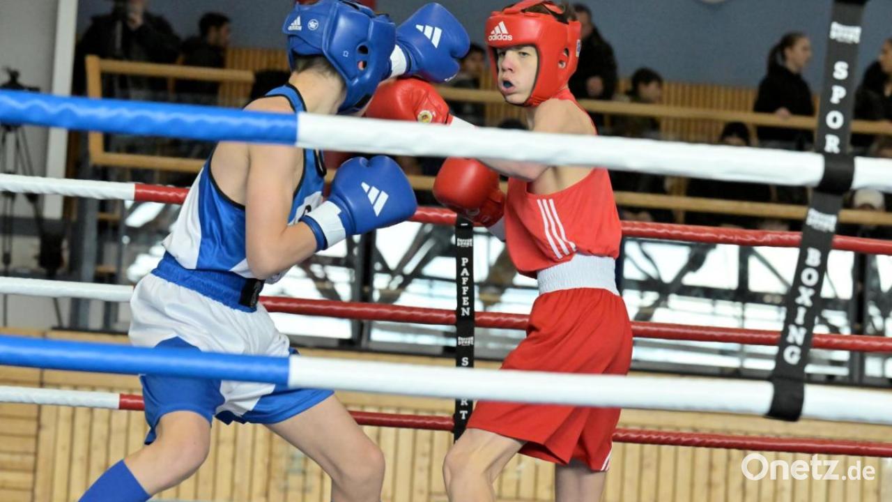 Amberger Box-Nachwuchs gewinnt drei bayerische Titel | Onetz