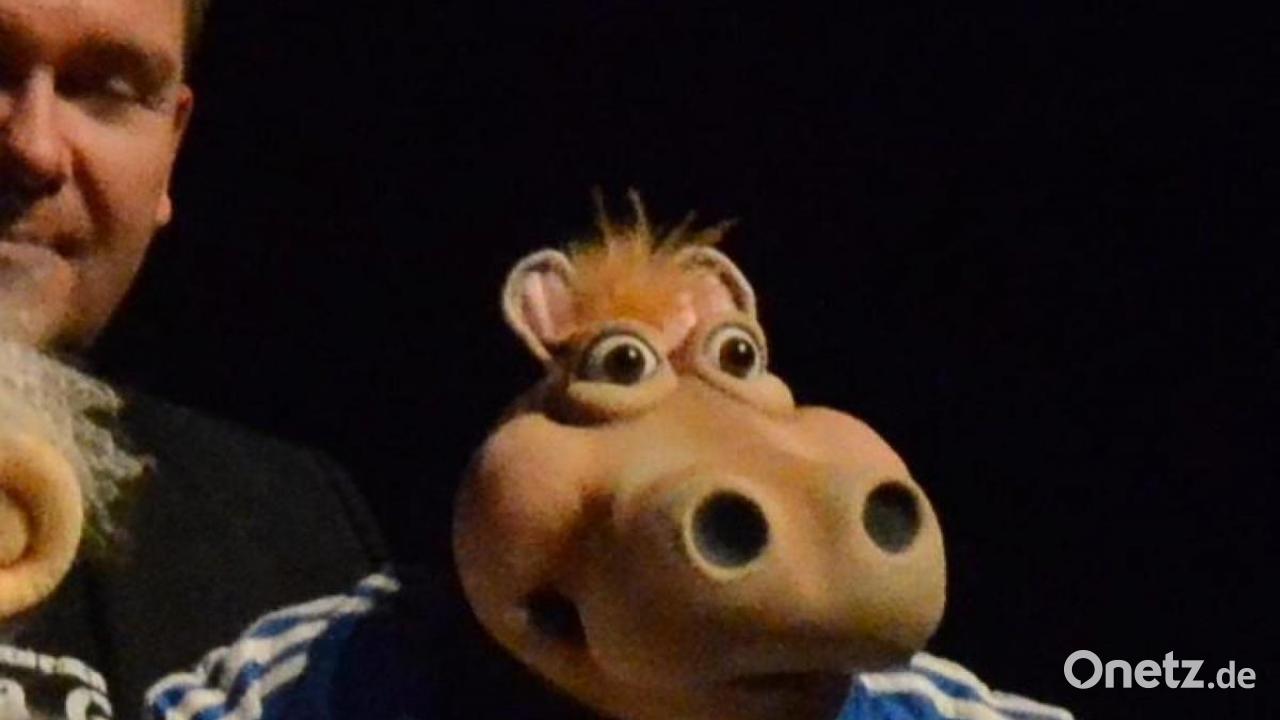 Sebastian Reich und Amanda begeistern in der Max-Reger-Halle | Onetz