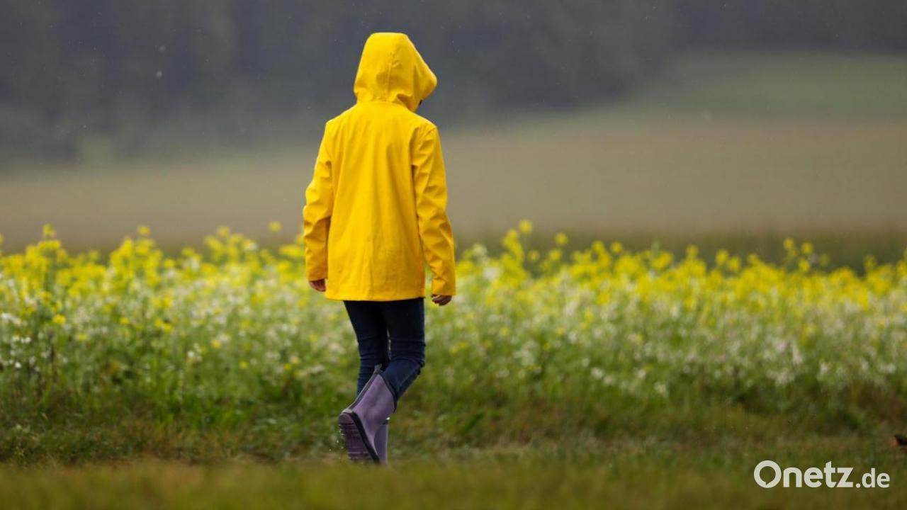 OWetter: Neuer Regen in die Hochwassergebiete | Onetz