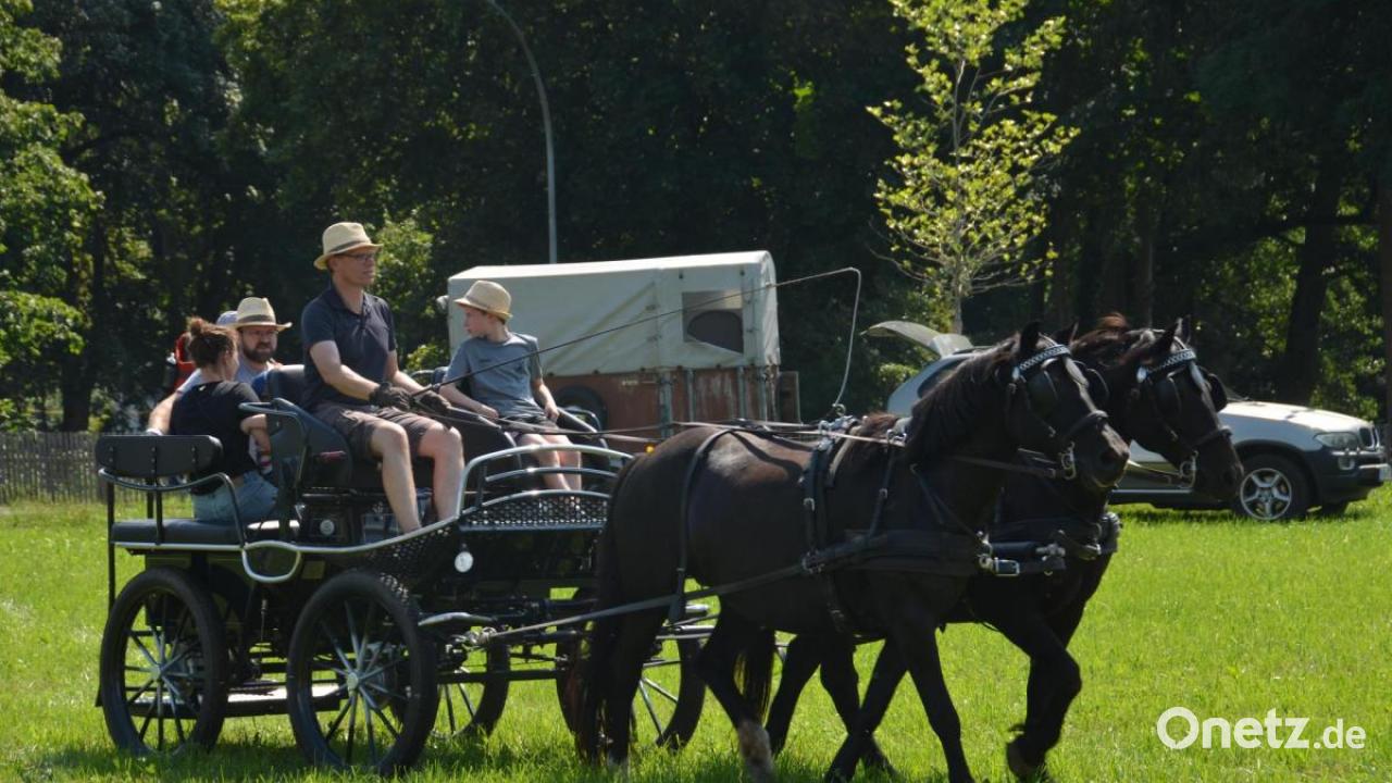 Spiel, Spaß und Abenteuer beim Vohenstraußer Ferienprogramm | Onetz