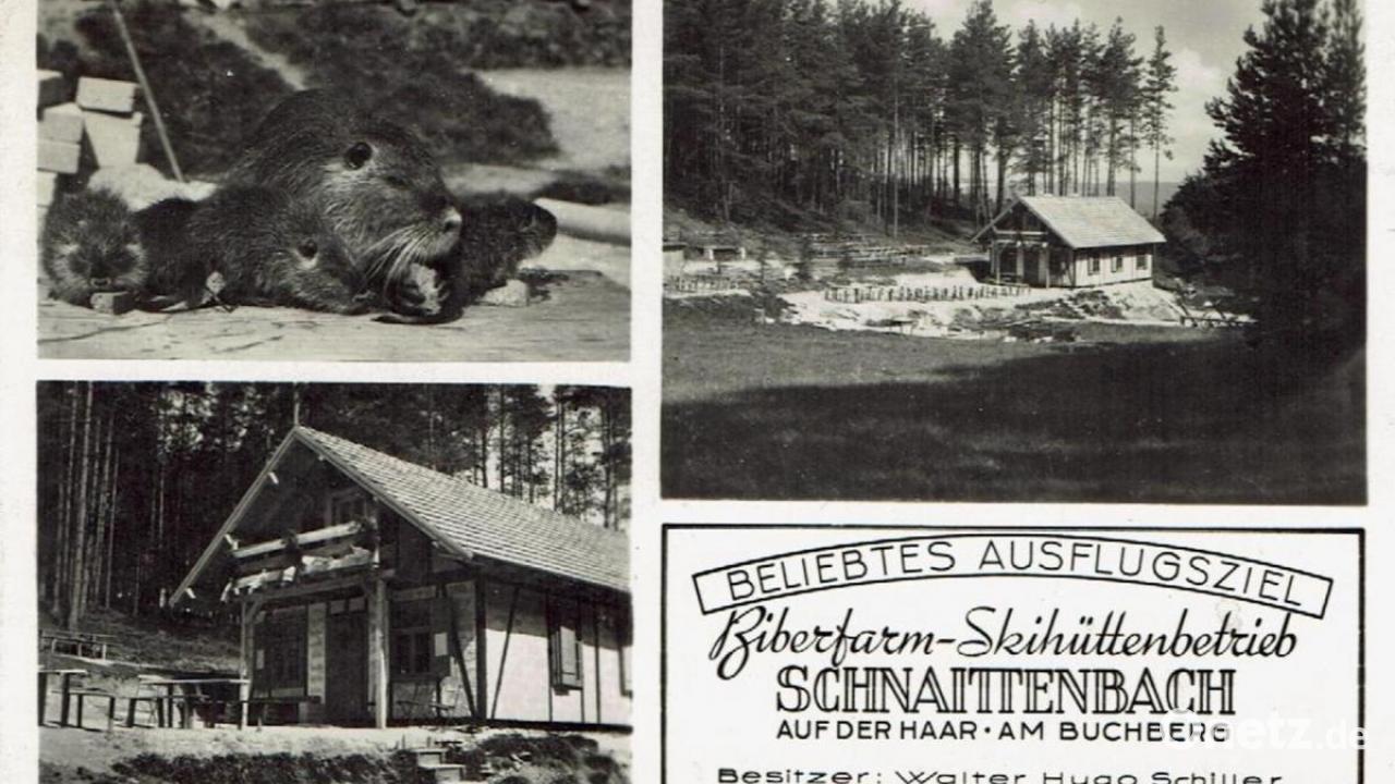 Auf Schoschi-Limo in Schiller-Ranch | Onetz