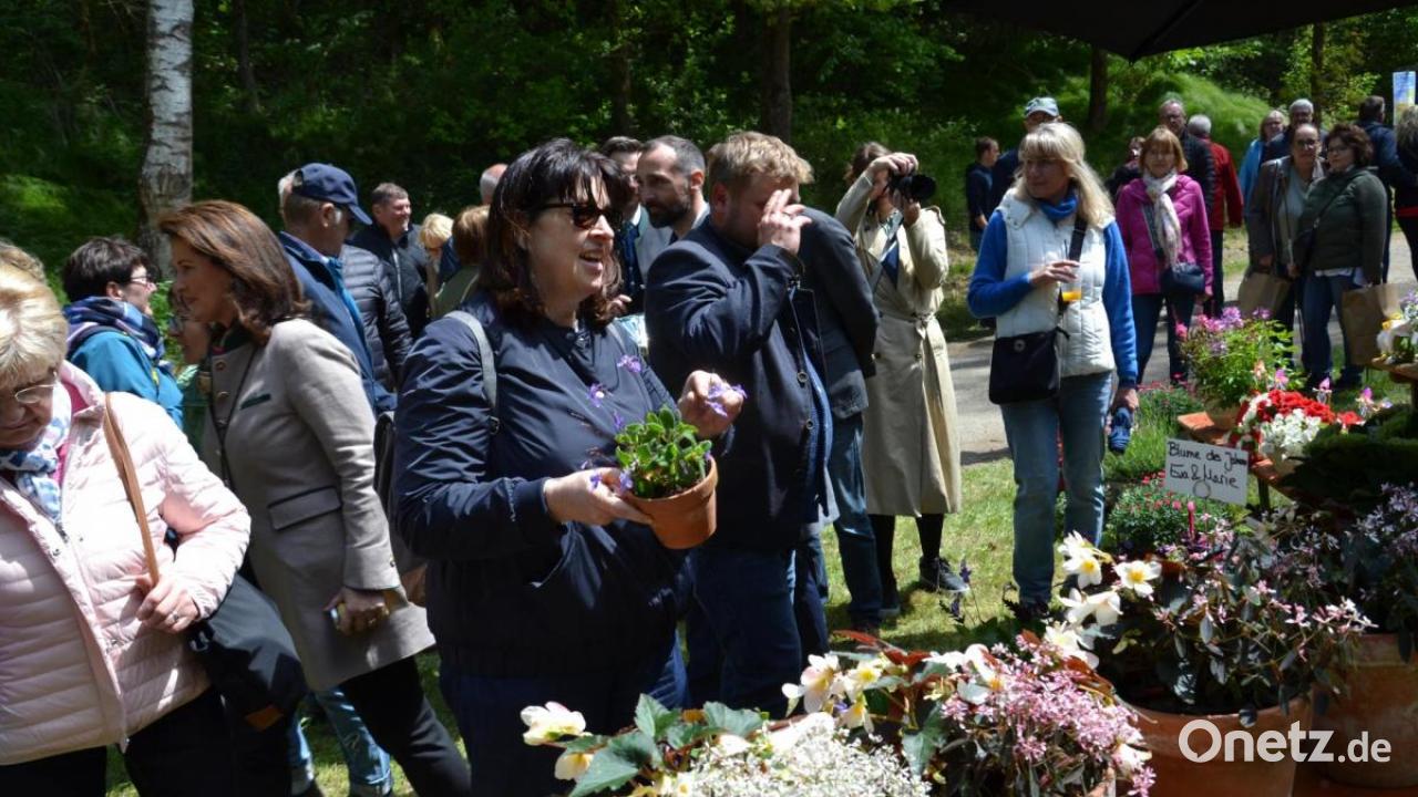 Gartenmarkt Moosbach begeistert mit Vielfalt und Charme | Onetz