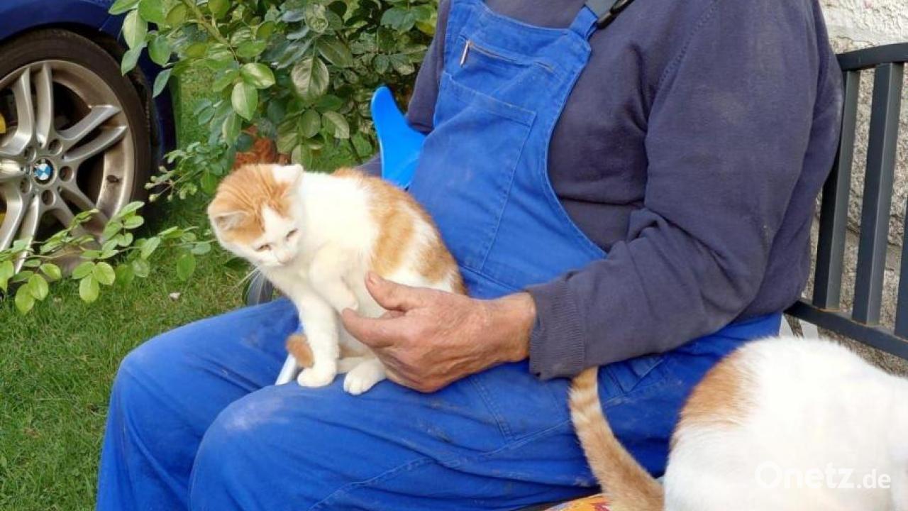 Franz Scharnagl feiert seinen 90. Geburtstag | Onetz