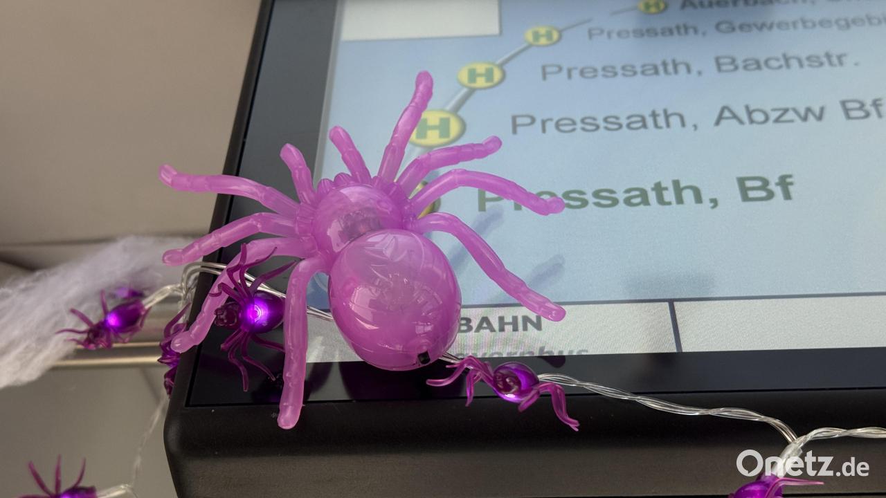 Bus zwischen Neuhaus und Pressath wird zum Halloween-Highlight | Onetz
