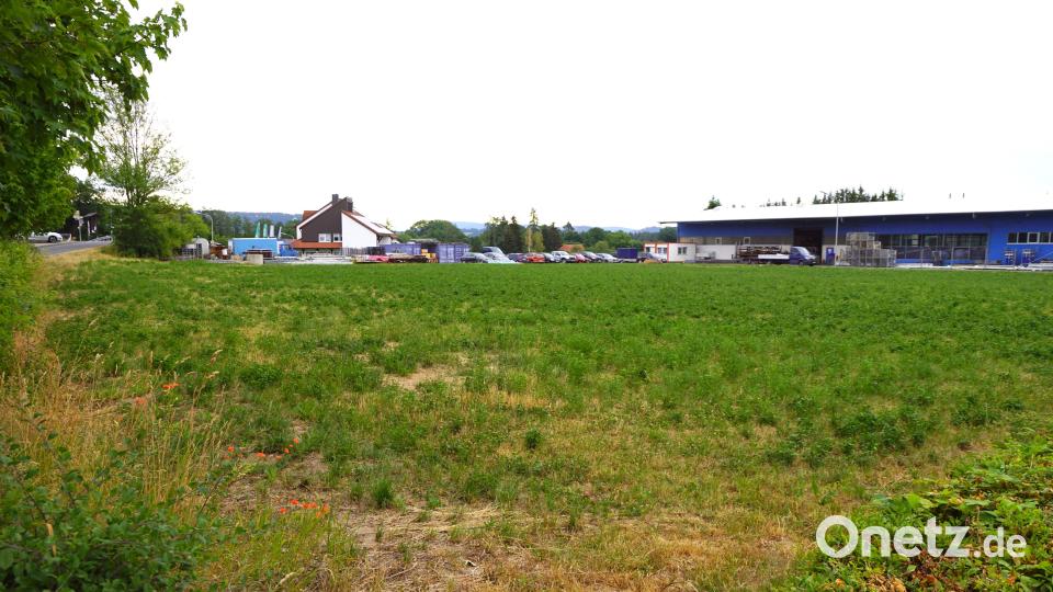 Gemeinde Immenreuth macht Druck beim Flächennutzungsplan | Onetz