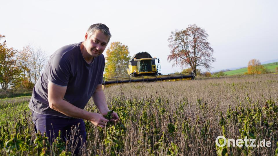 Biobauer baut in Waldthurn als einziger in der Region Chia-Samen an | Onetz