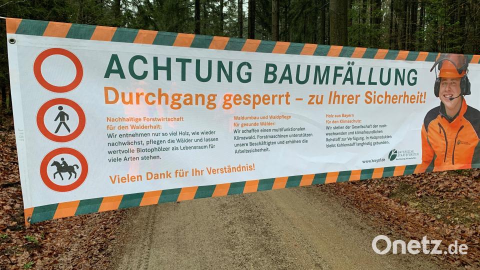 Waldbesucher halten sich bei Fällarbeiten nicht an Absperrungen | Onetz