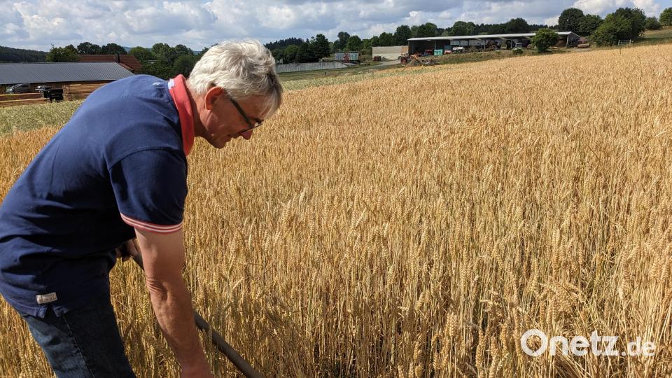Familie Kulzer aus Dietersdorf geht neue Wege gegen das Höfesterben | Onetz