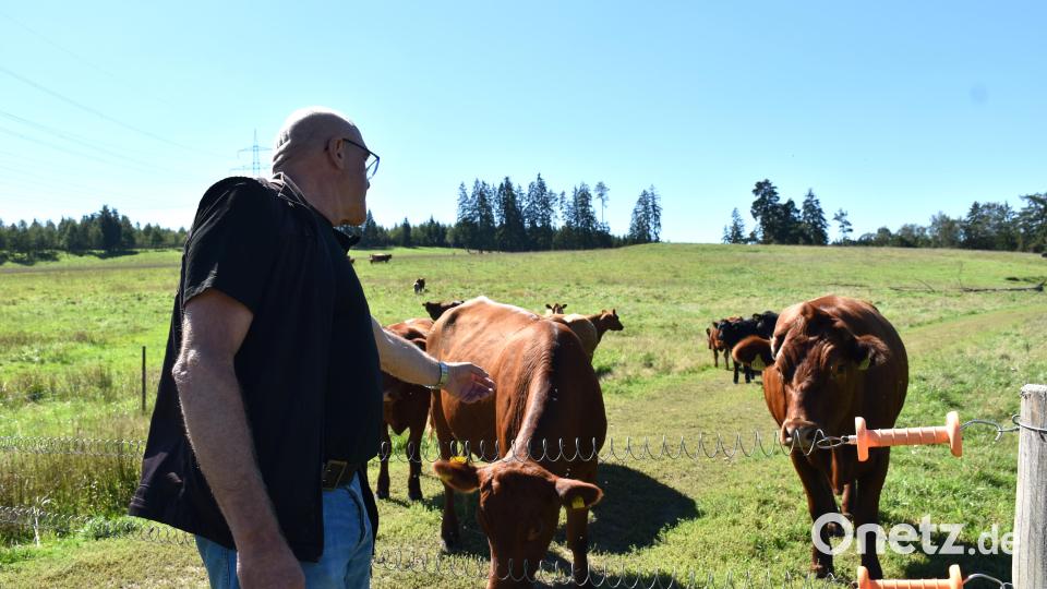 Schenkung der Hammermühle bei Falkenberg hat das Leben der Familie Wild ...
