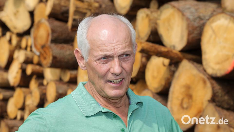 Borkenkäfer im Landkreis Amberg-Sulzbach: Tausende Festmeter und kein ...