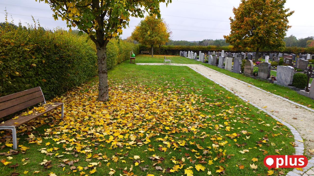 Urnenfeld für Immenreuther Friedhof | Onetz