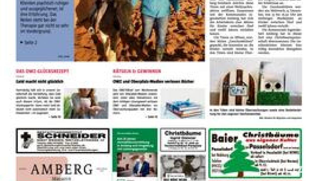 Der Sänger setzt auf nachhaltigen Erfolg und hält nichts von Casting ...